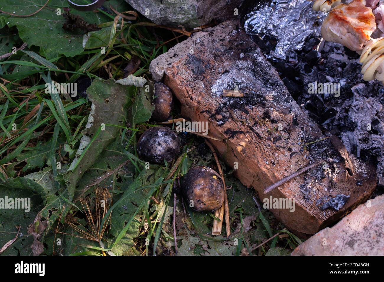 Baking potatoes in coals from the fire, cooking on a hike Stock Photo ...