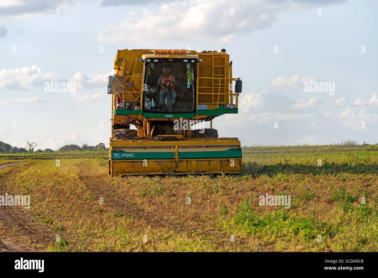 Pea harvester hi-res stock photography and images - Alamy