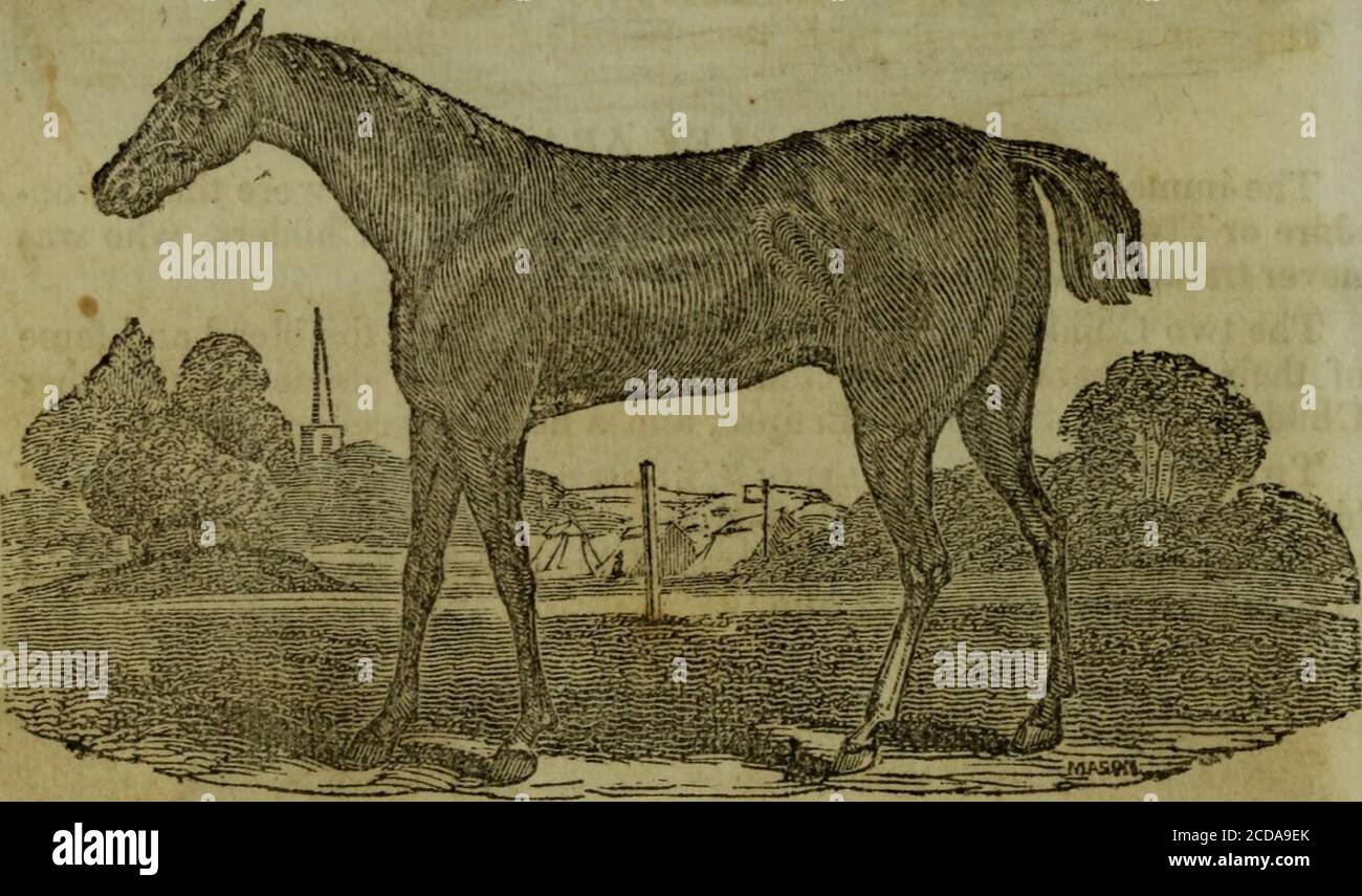 Six mile plain hi-res stock photography and images - Alamy