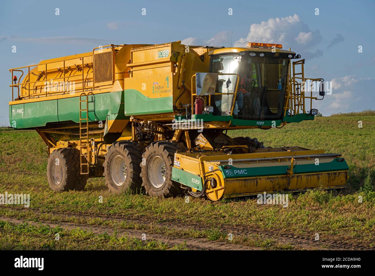 PMC pea harvester Stock Photo - Alamy