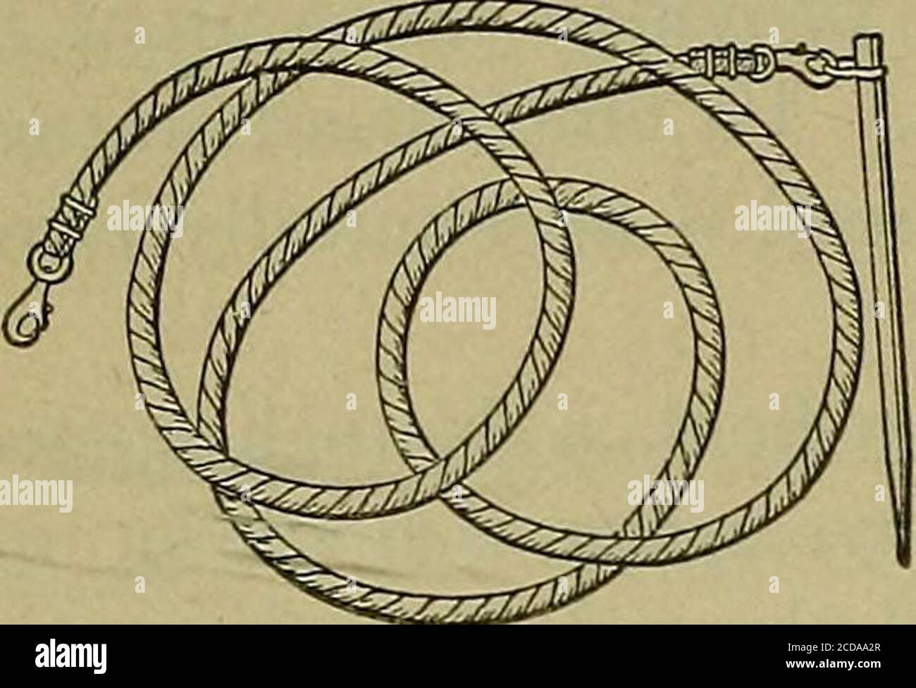 . Handbook for rangers & woodsmen . Doulfle Holjble Fig. 22. Picket ...