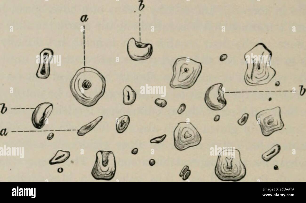 Aboil hi-res stock photography and images - Alamy