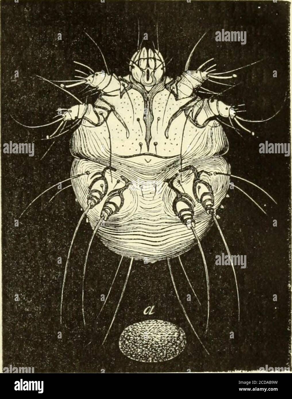 Science des données hi-res stock photography and images - Alamy