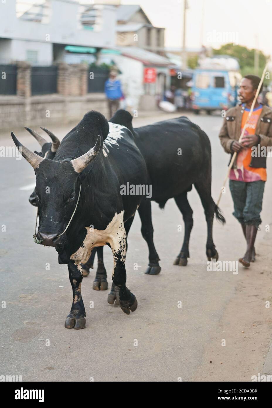 Ranohira, Madagascar - April 29, 2019: Unknown local Malagasy man ...