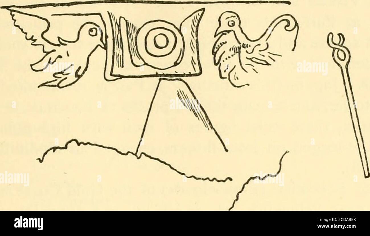 . The night of the gods; an inquiry into cosmic and cosmogonic ...