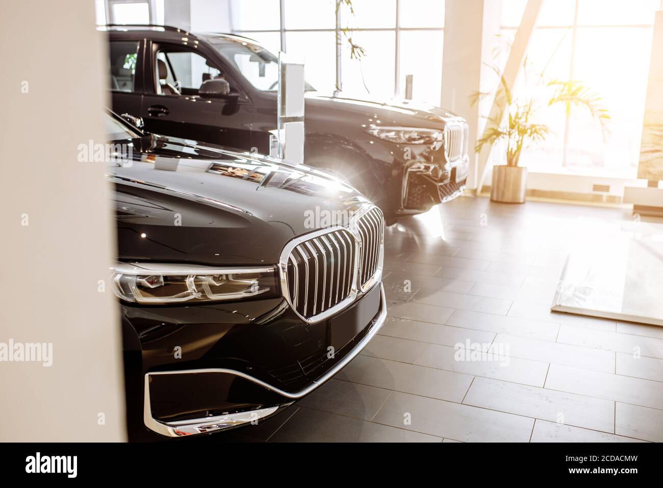 Black Car Dealership Owners at Elden Martin blog