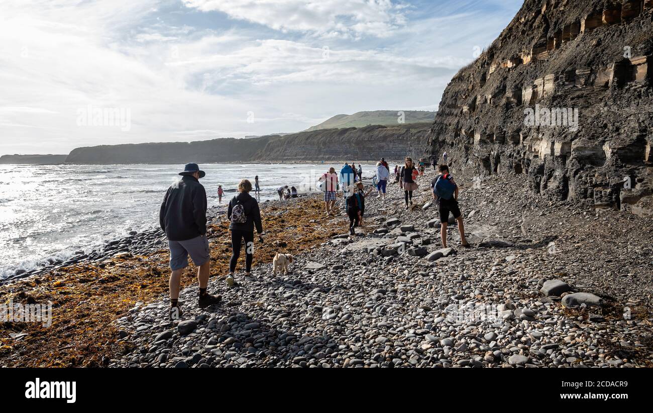 Kimmeridge Clay cliffs and shore line with strata of shale and ...