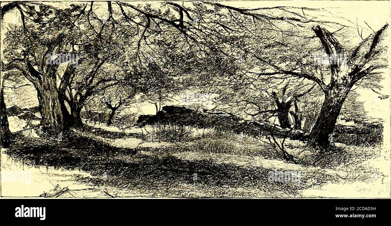 Creaking gate hi-res stock photography and images - Alamy