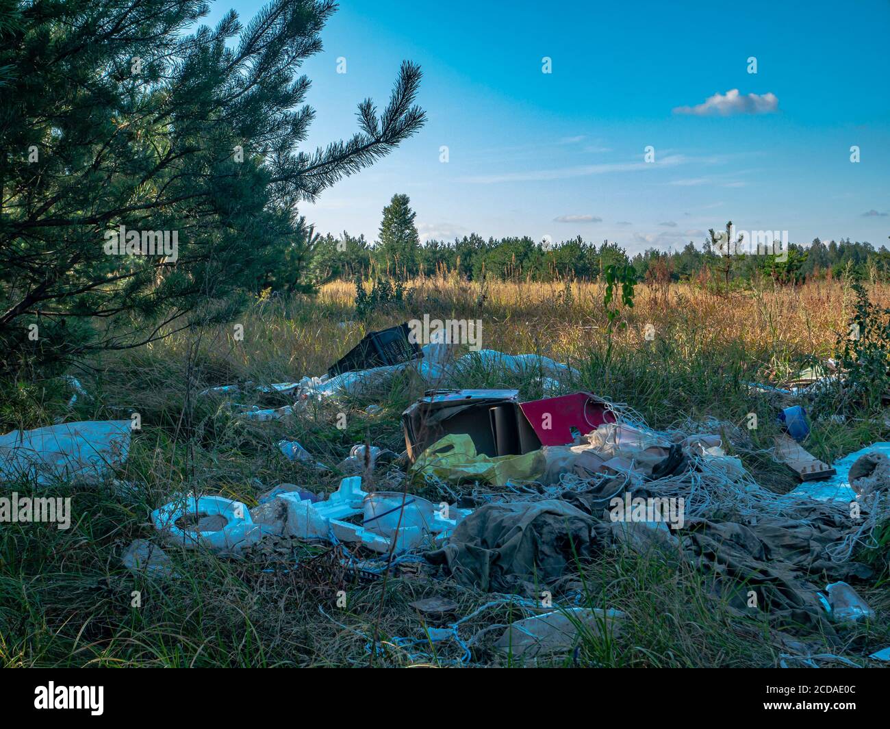Unauthorized dumping of household waste in nature Stock Photo - Alamy