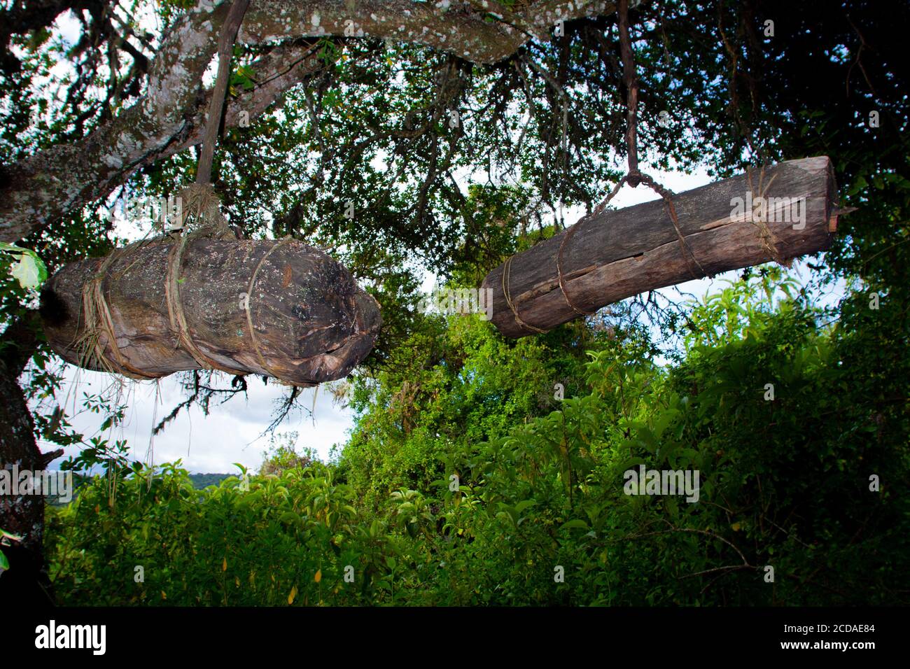 Traditional beehives Tribal agriculture Tanzania Stock Photo - Alamy
