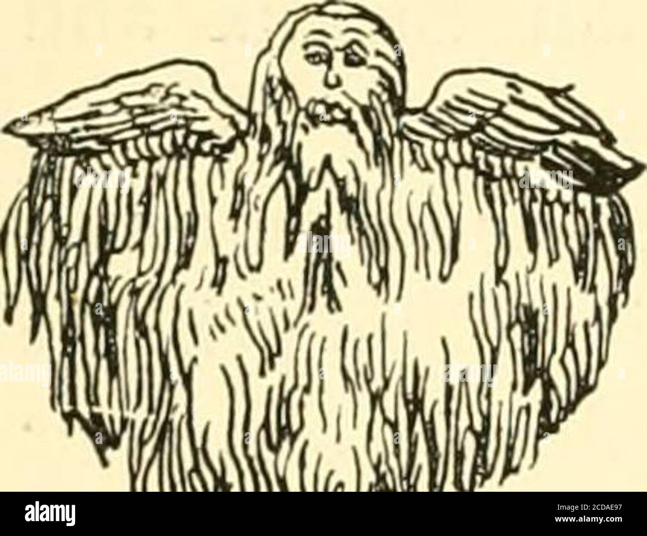 . The night of the gods; an inquiry into cosmic and cosmogonic ...