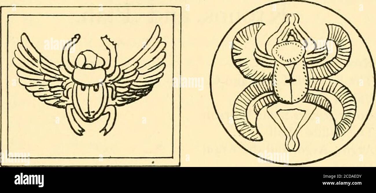 . The night of the gods; an inquiry into cosmic and cosmogonic ...