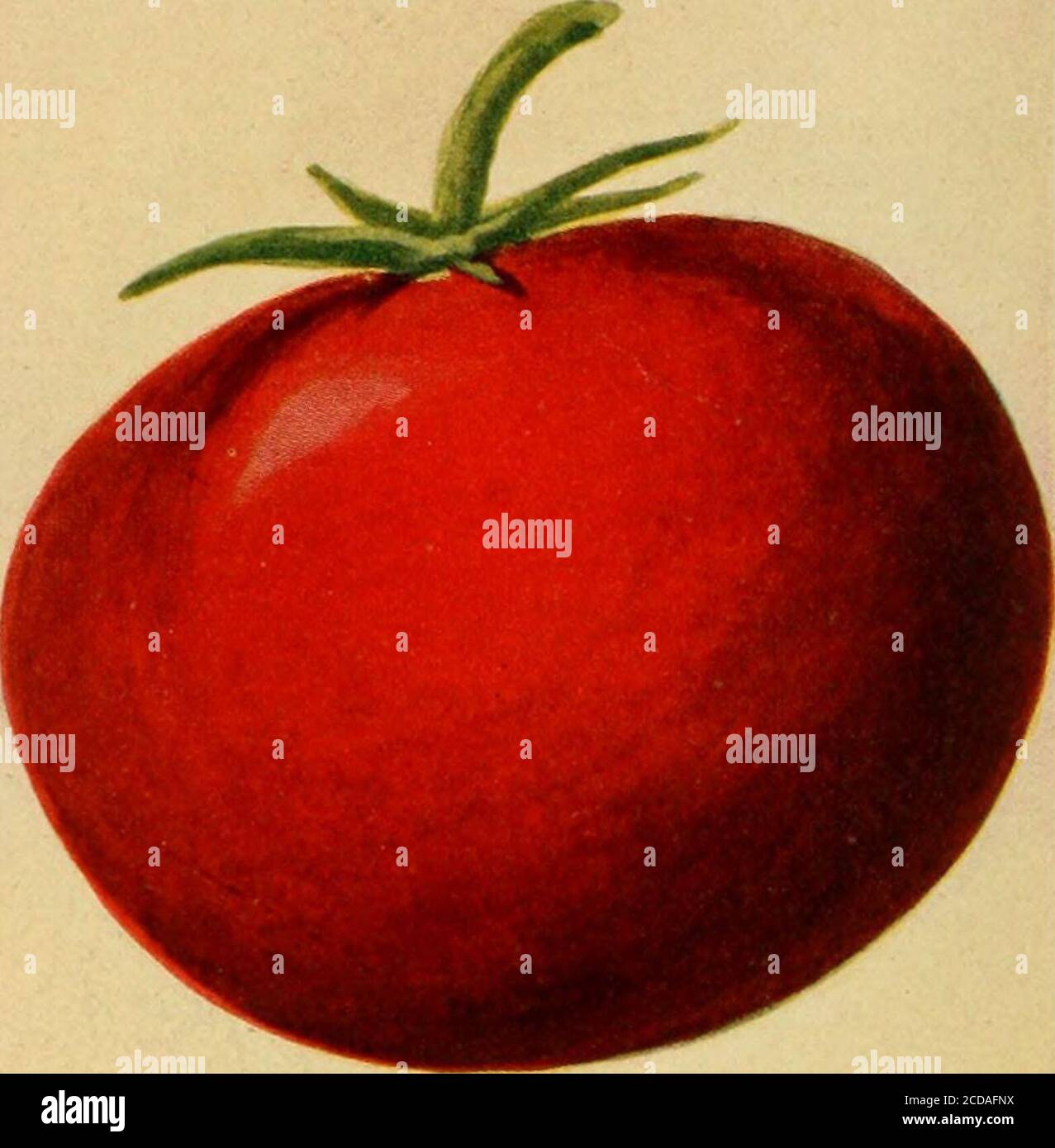 . The open door to independence; making money from the soil; what to do ...