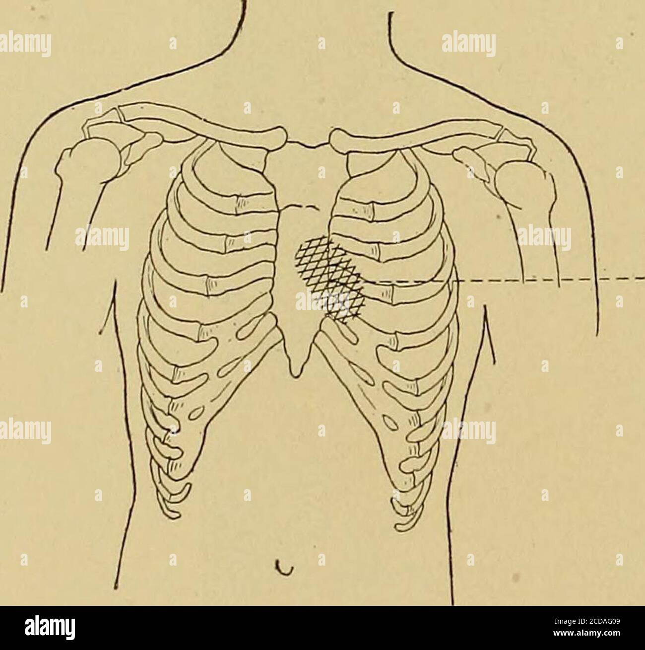 Costallayer hi-res stock photography and images - Alamy