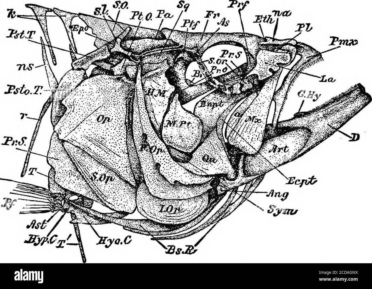 Well kno Black and White Stock Photos & Images - Alamy