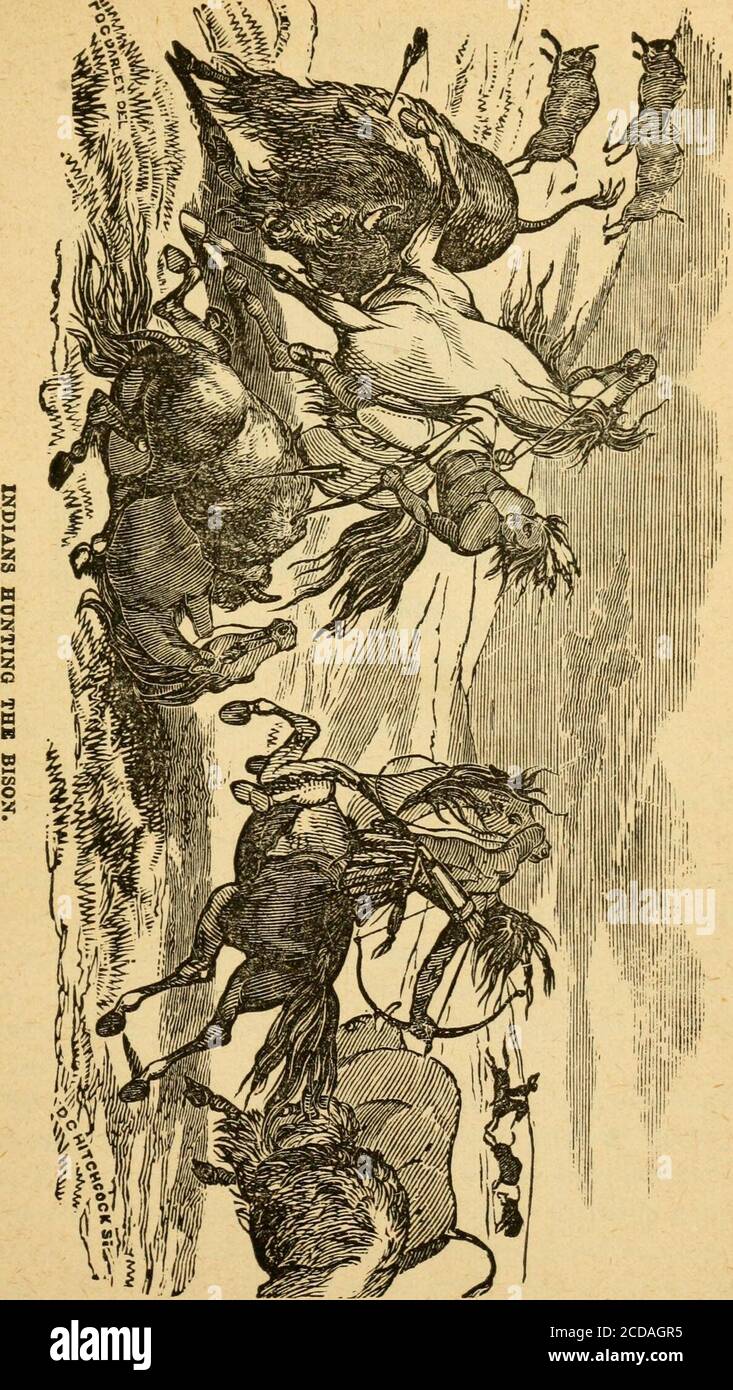 . Wild scenes of a hunter's life; . is bow and quiver slung, his arrow ...