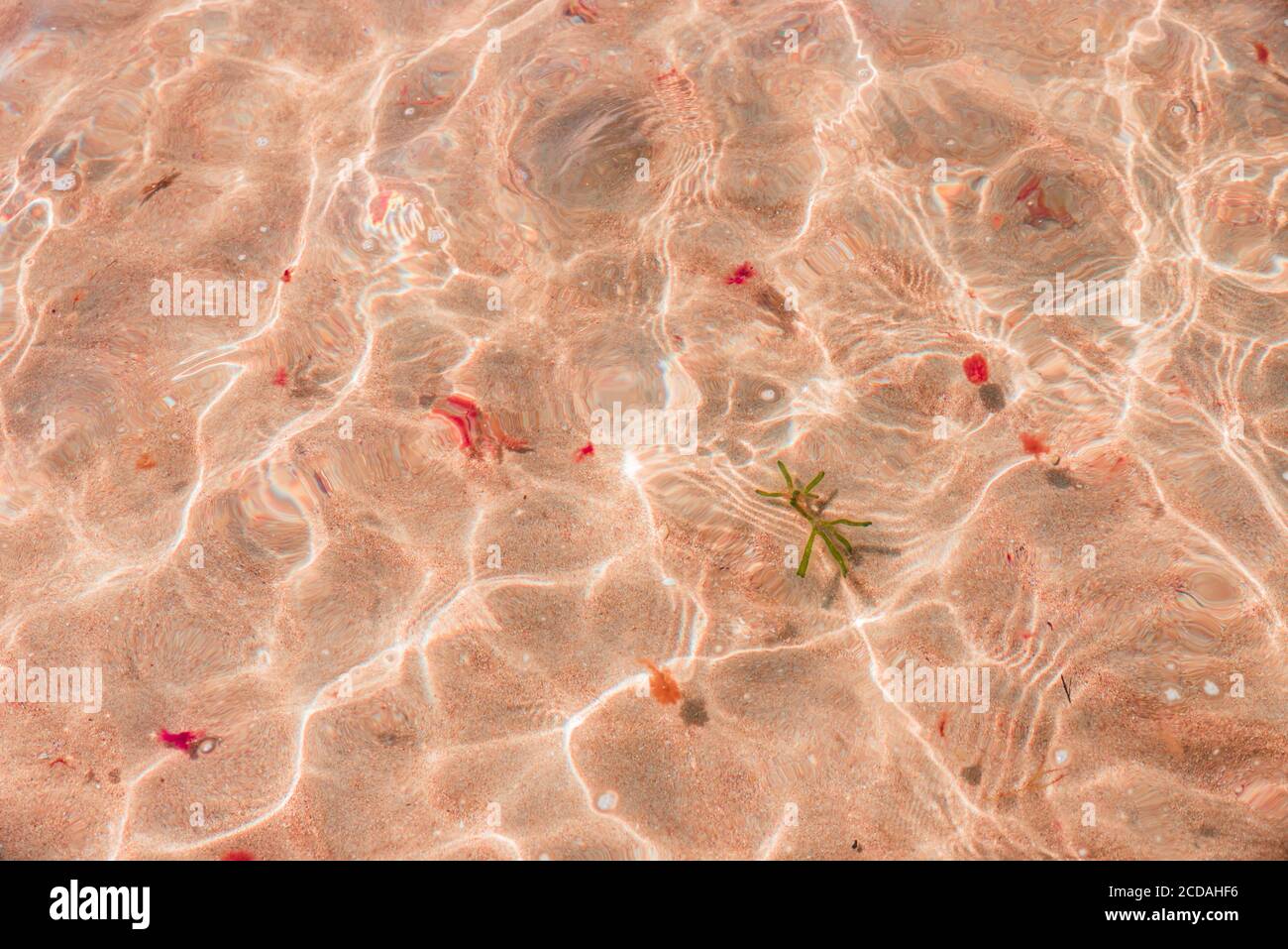 Top view of the sunlight covering the transparent water of the sea over ...