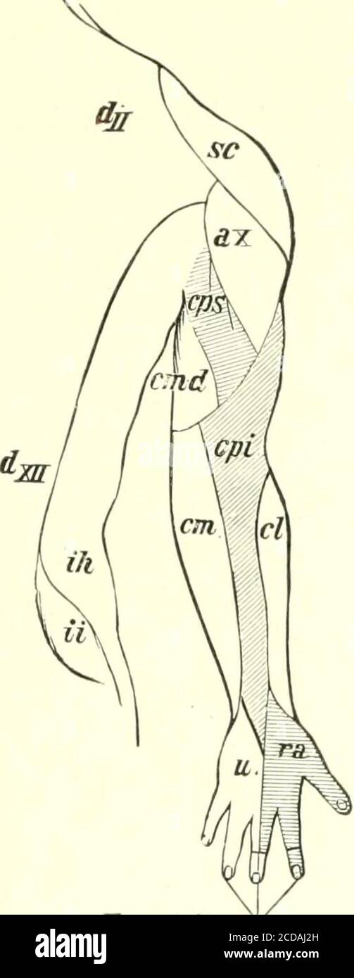 . A text-book of medicine for students and practitioners . oubt, due to ...