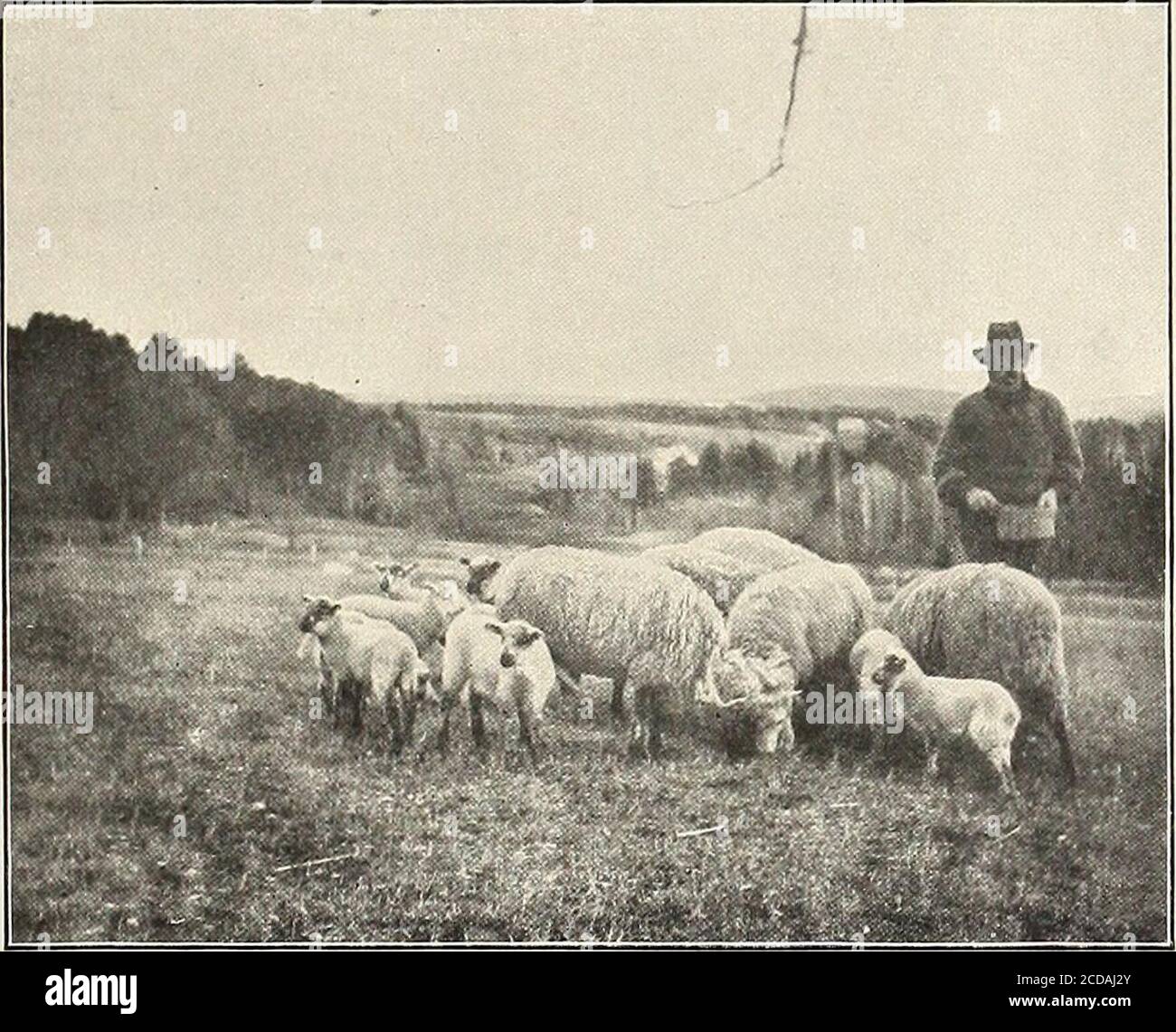 Francis crossley hi-res stock photography and images - Alamy