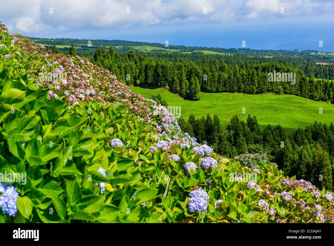 Beautiful landscape sceneries in Azores Portugal. Tropical nature in ...