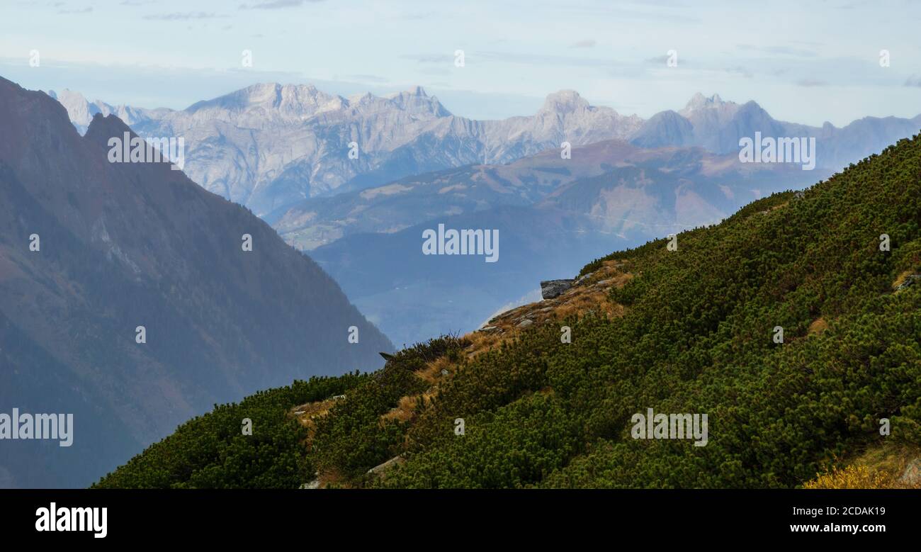 Alpine shrubs hi-res stock photography and images - Alamy