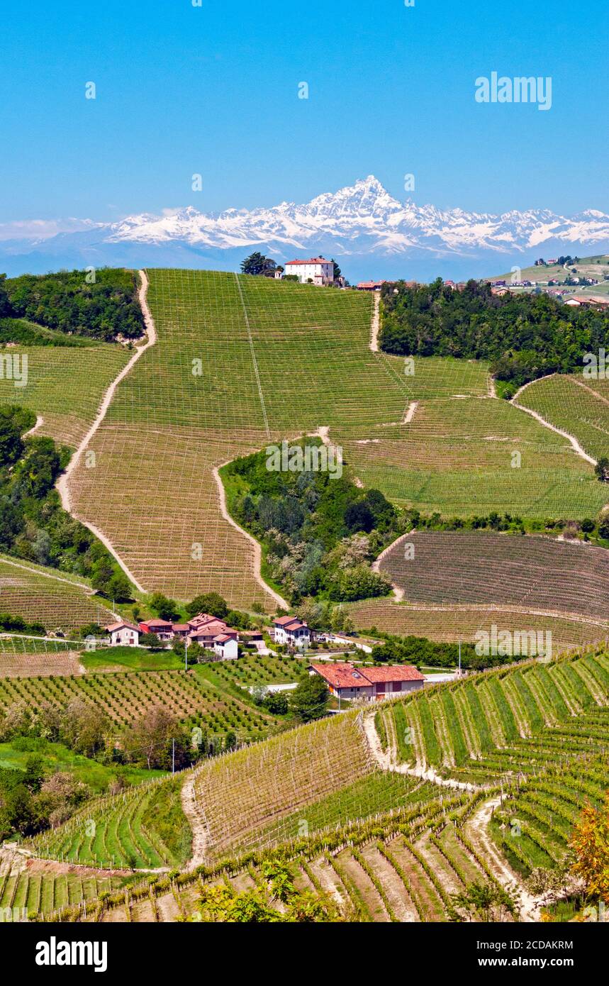 Views of vineyards and mountains from Serralunga, Piedmont, Italy Stock ...