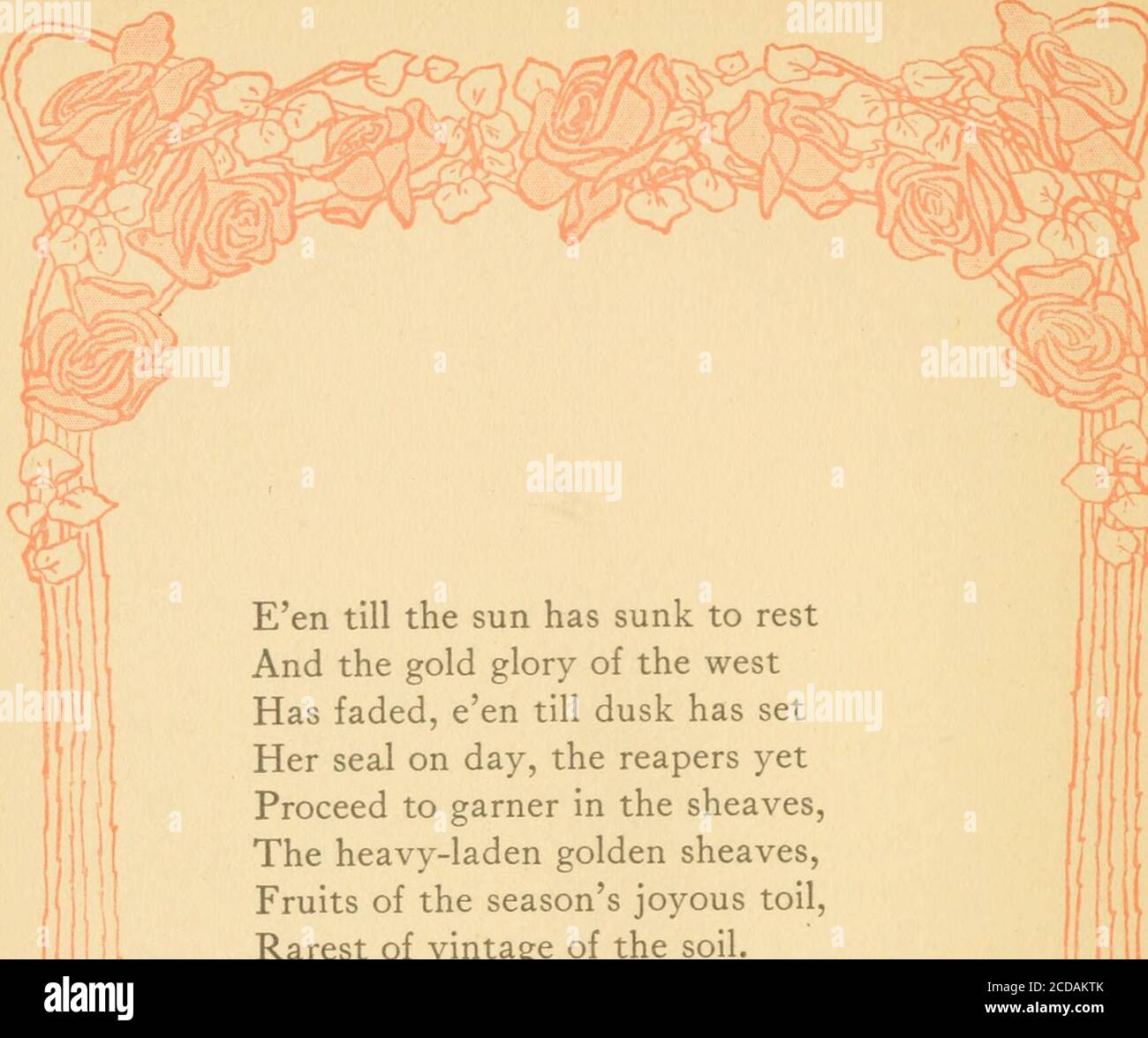 . Sunshine and roses . L^ Stock Photo - Alamy