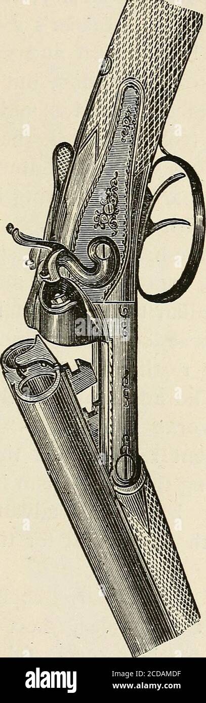 Hammerless breech loading hi-res stock photography and images - Alamy