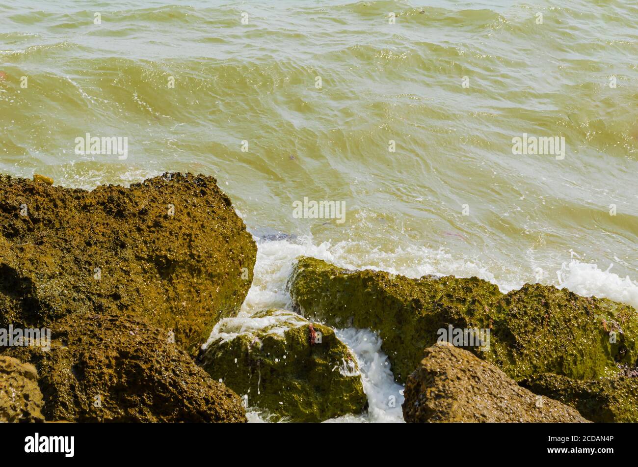 Sea Water Running Between Rocks Stock Photo - Alamy