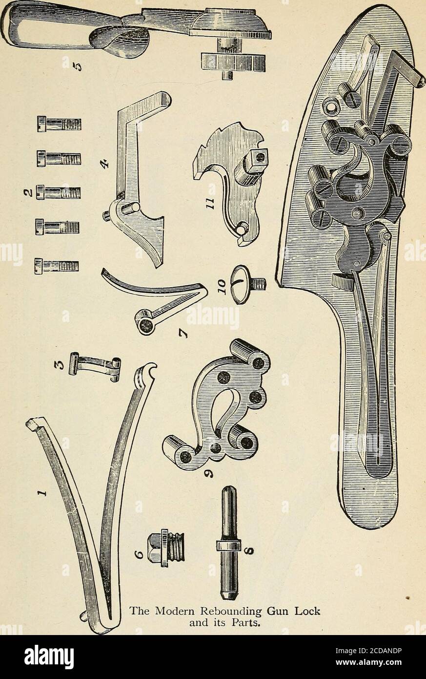 Percussion lock gun hi-res stock photography and images - Alamy