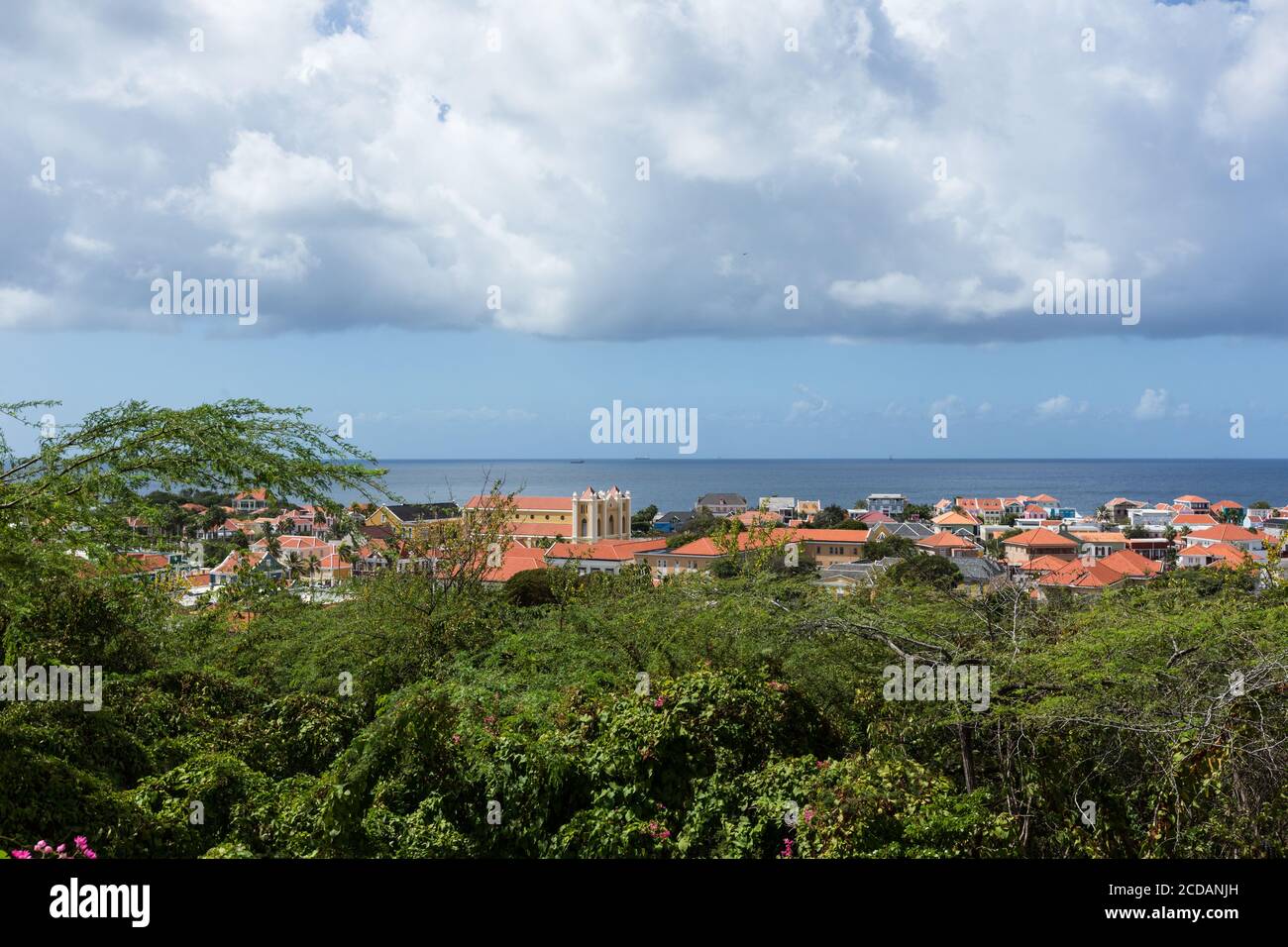 View of the Queen of the Most Holy Rosary Cathedral, also known as ...