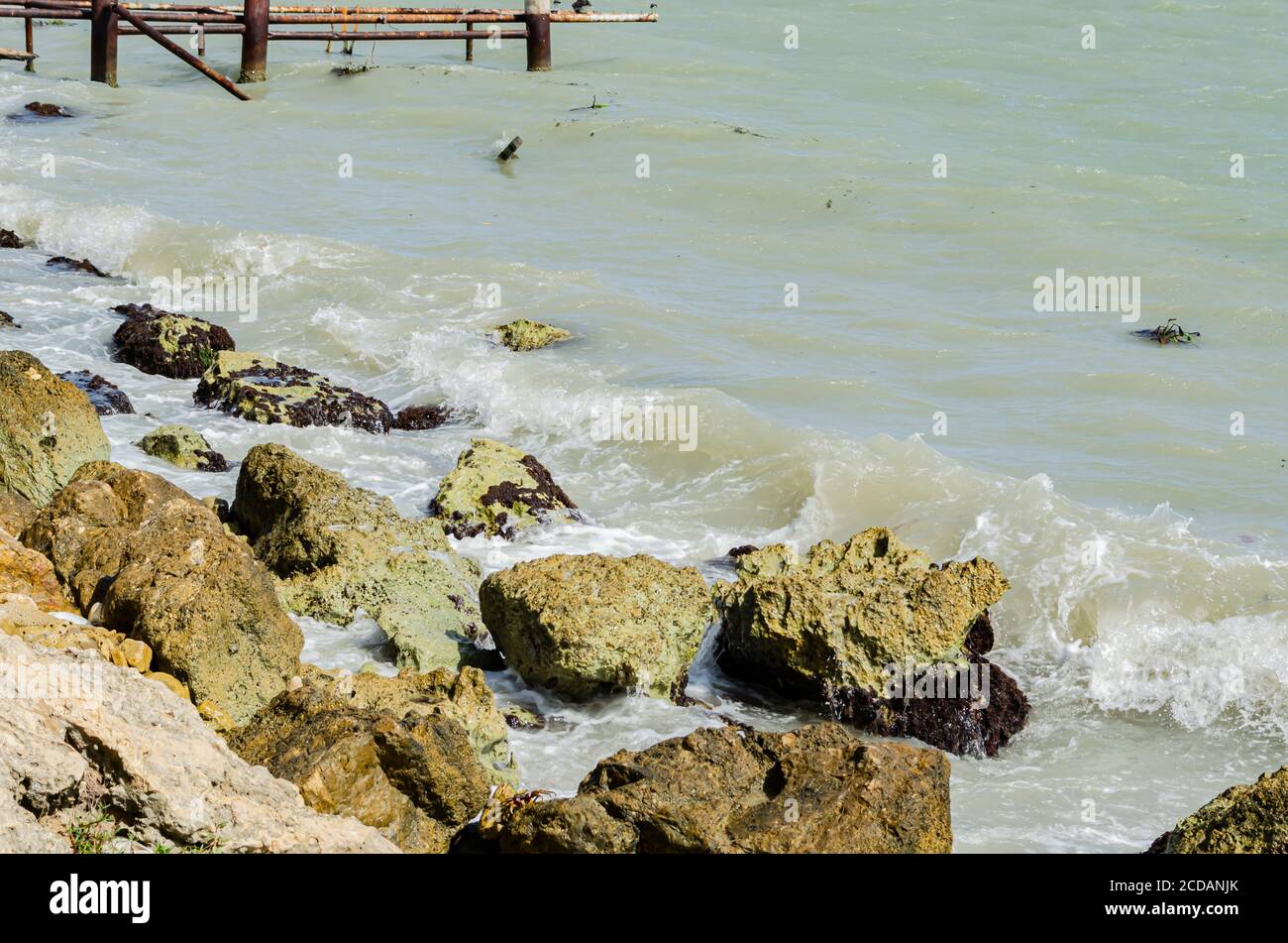 Algae on rocks hi-res stock photography and images - Alamy