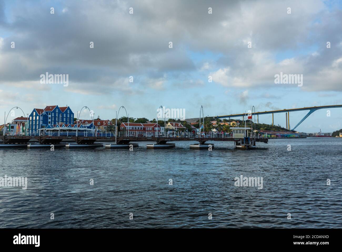 Queen juliana plants hi-res stock photography and images - Alamy