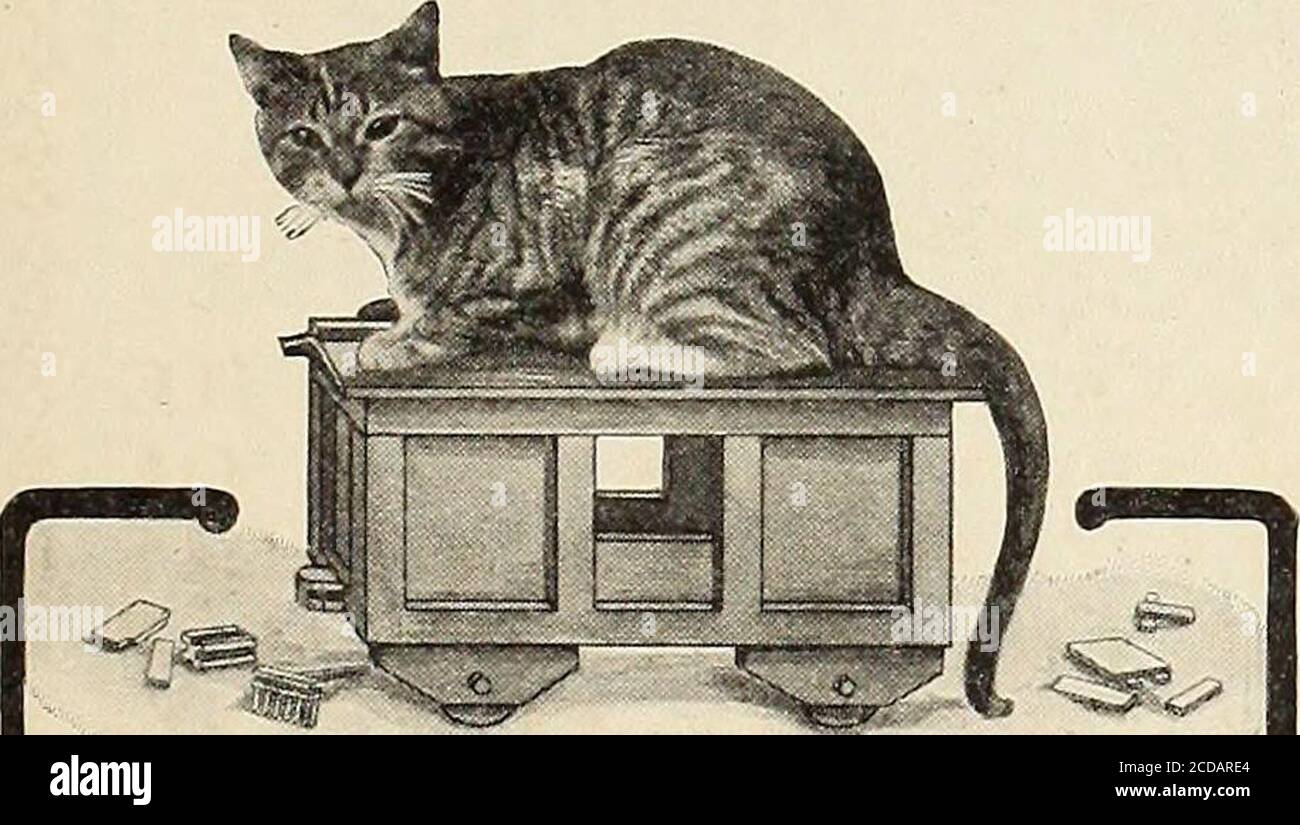 New reproducer hi-res stock photography and images - Alamy