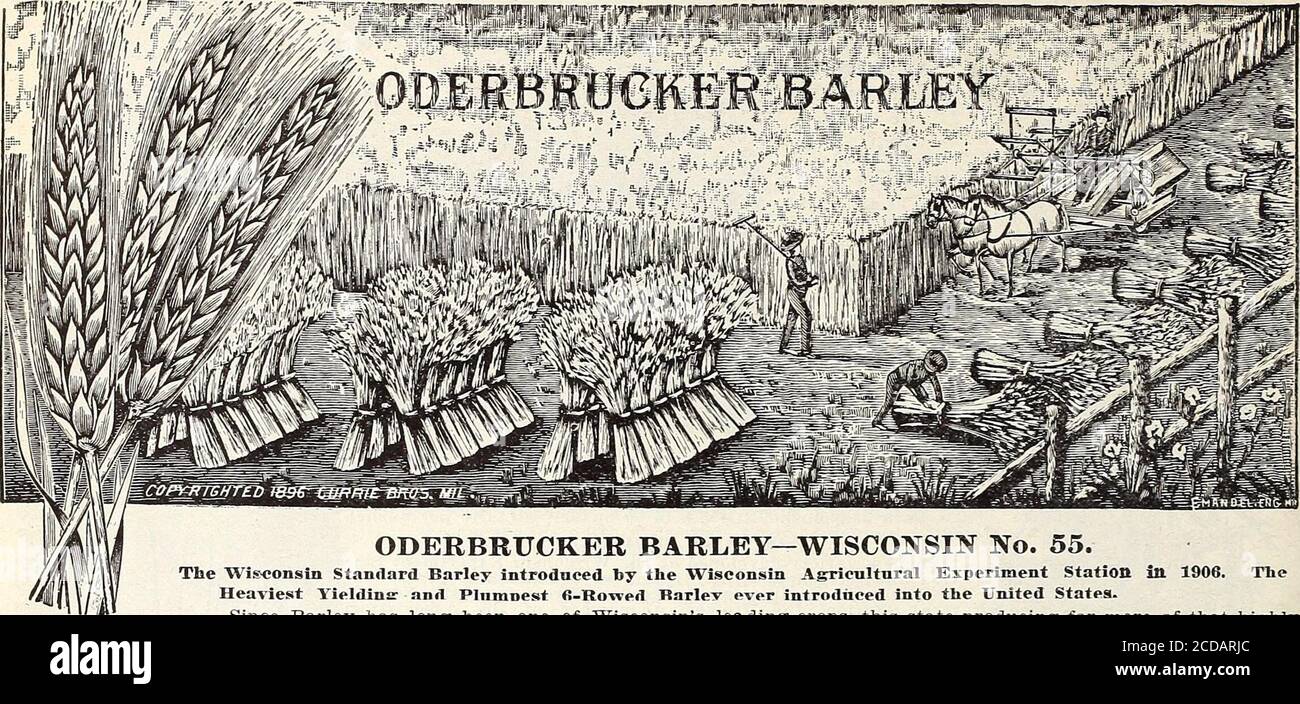 Petkus hi-res stock photography and images - Alamy