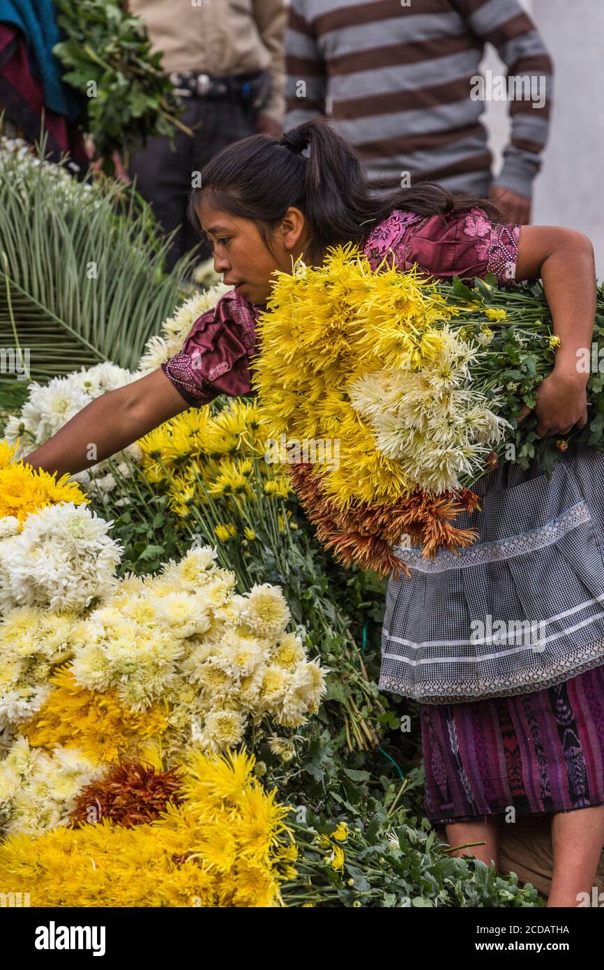 A Quiche Mayan woman sells flowers in the flower market on the pre ...