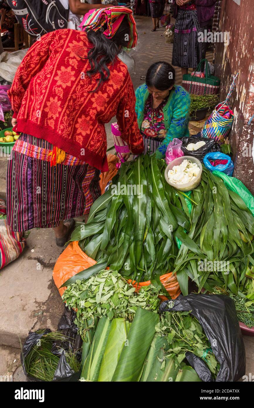 A Quiche Mayan woman in traditional dress sells leaves and flower ...