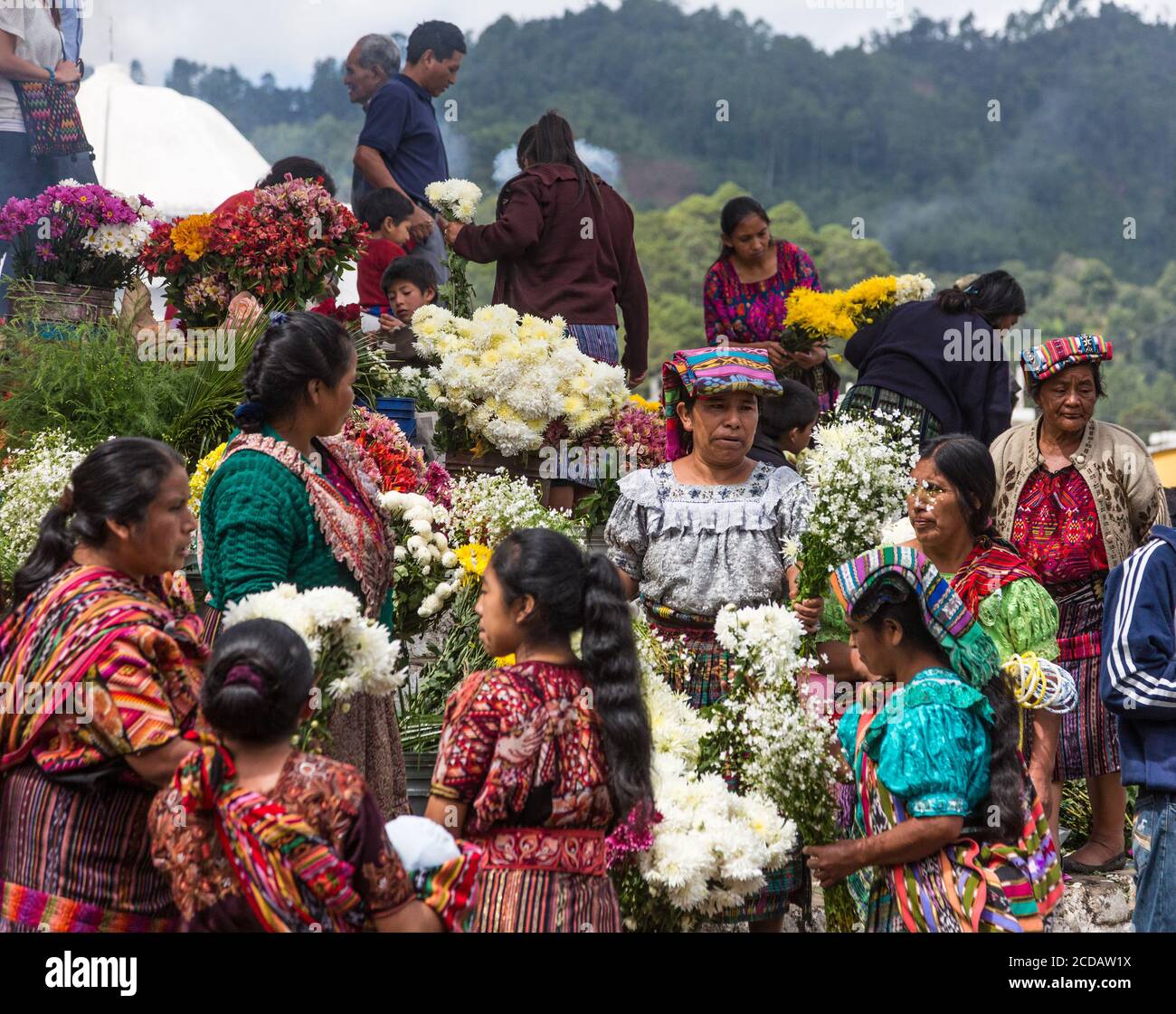 Quiche guatemala forest hi-res stock photography and images - Alamy