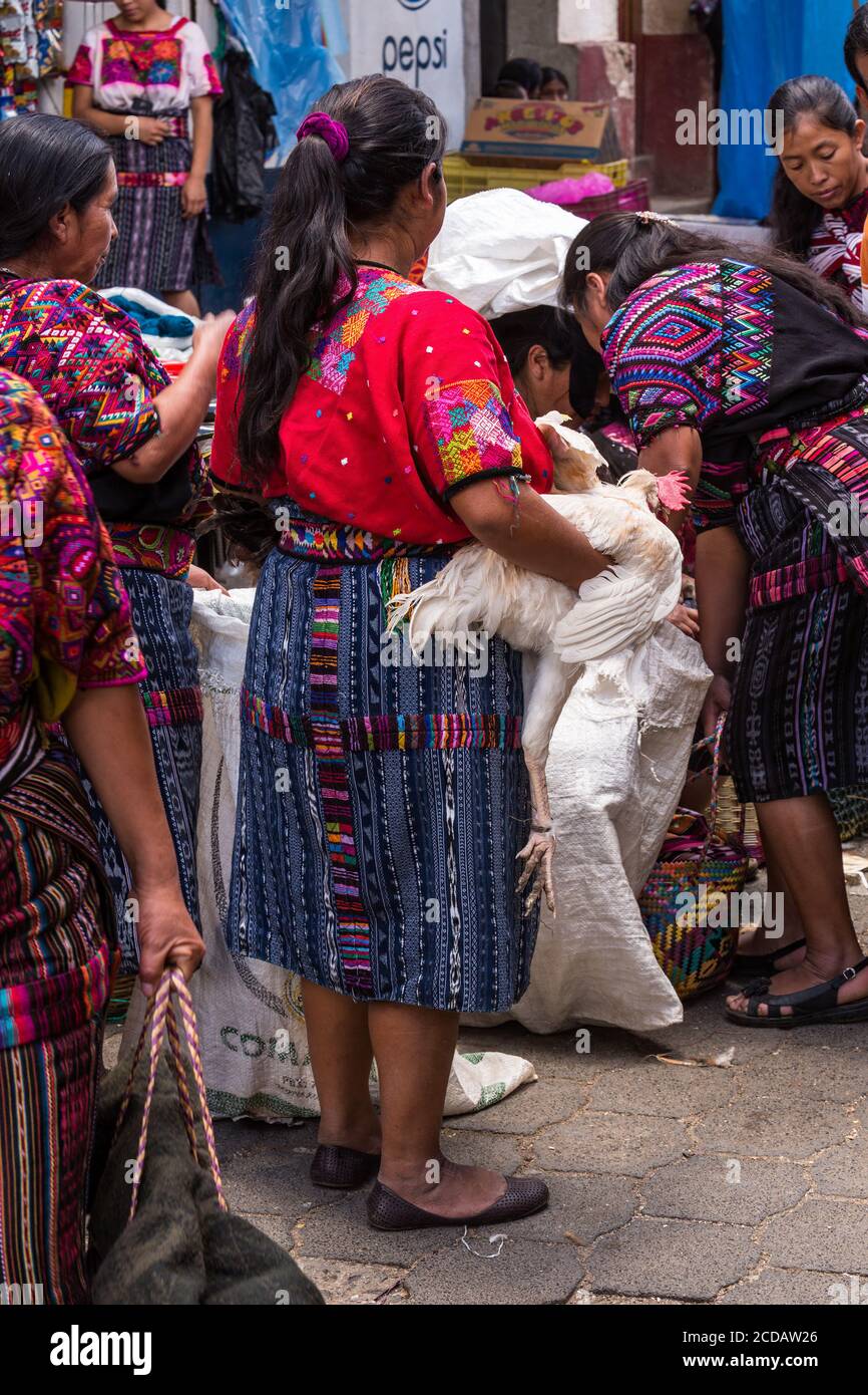 A Quiche Mayan woman in traditional dress with the large rooster she ...