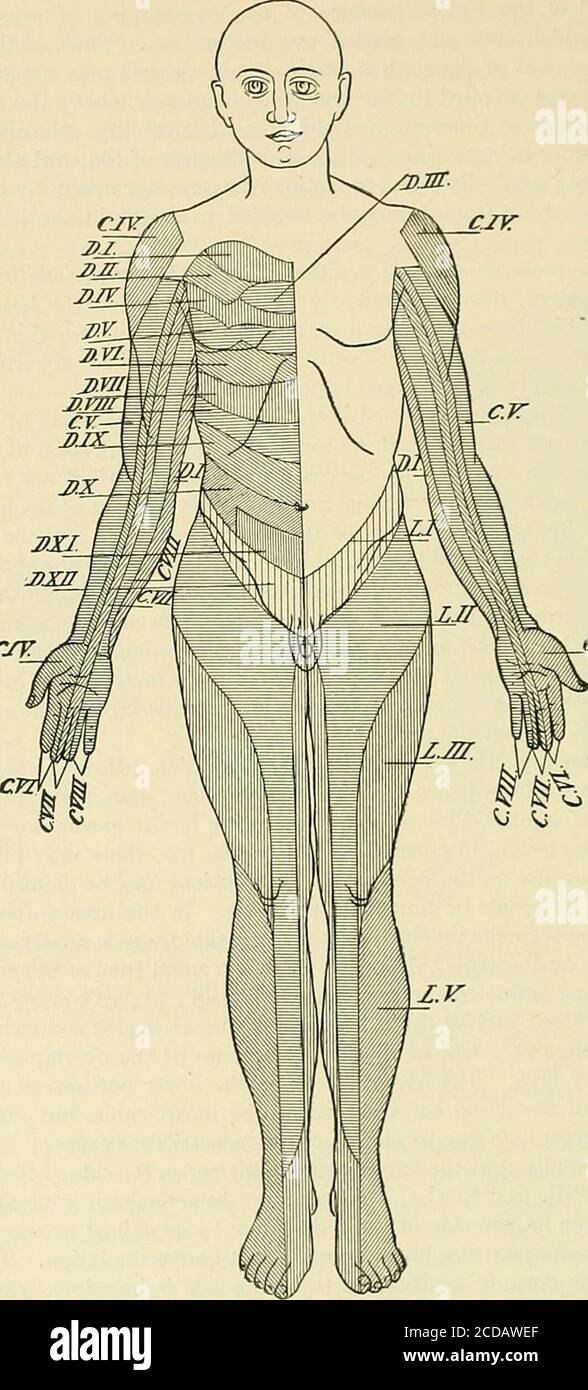 . The practice of medicine; a text-book for practitioners and students ...