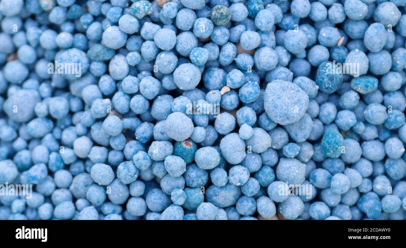 Close up of a blue chemical fertilizer texture for background usage ...