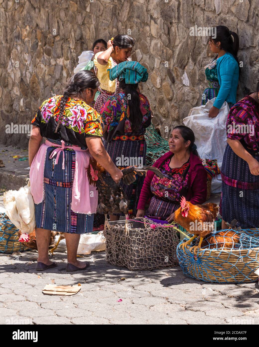Quiche Mayan women sell live poultry in the outdoor market in ...
