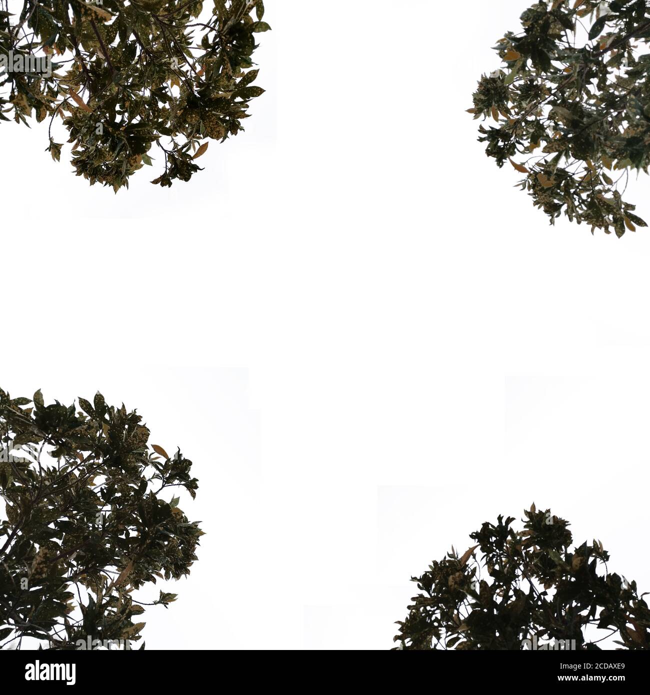 Four sided frame hi-res stock photography and images - Alamy