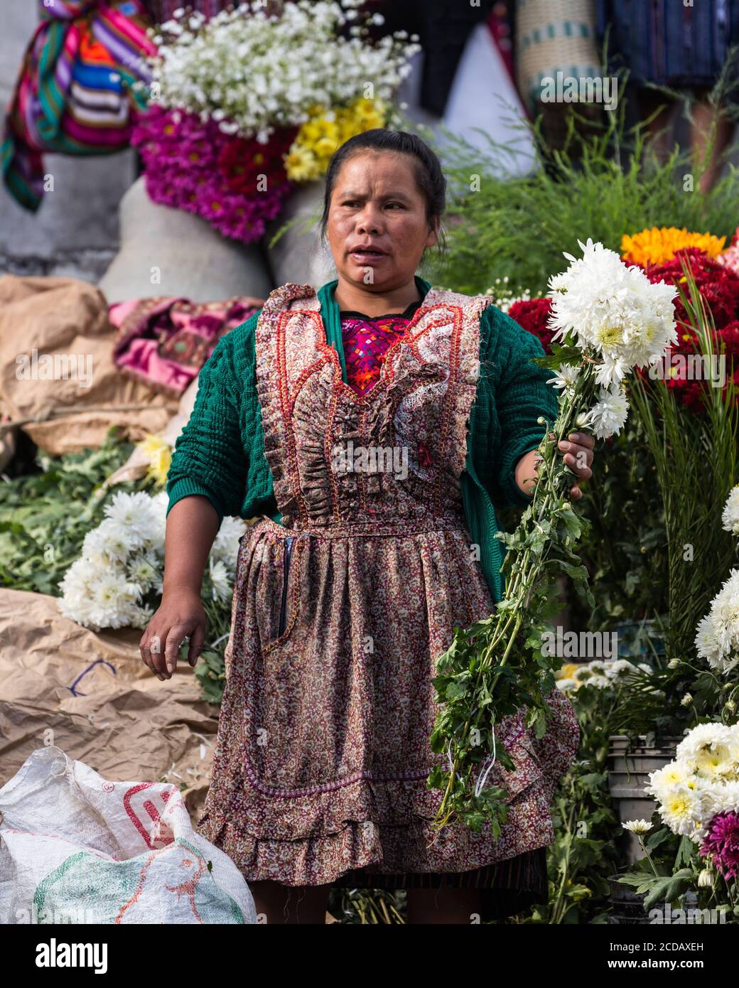 A Quiche Mayan woman selling flowers in the flower market on the pre ...