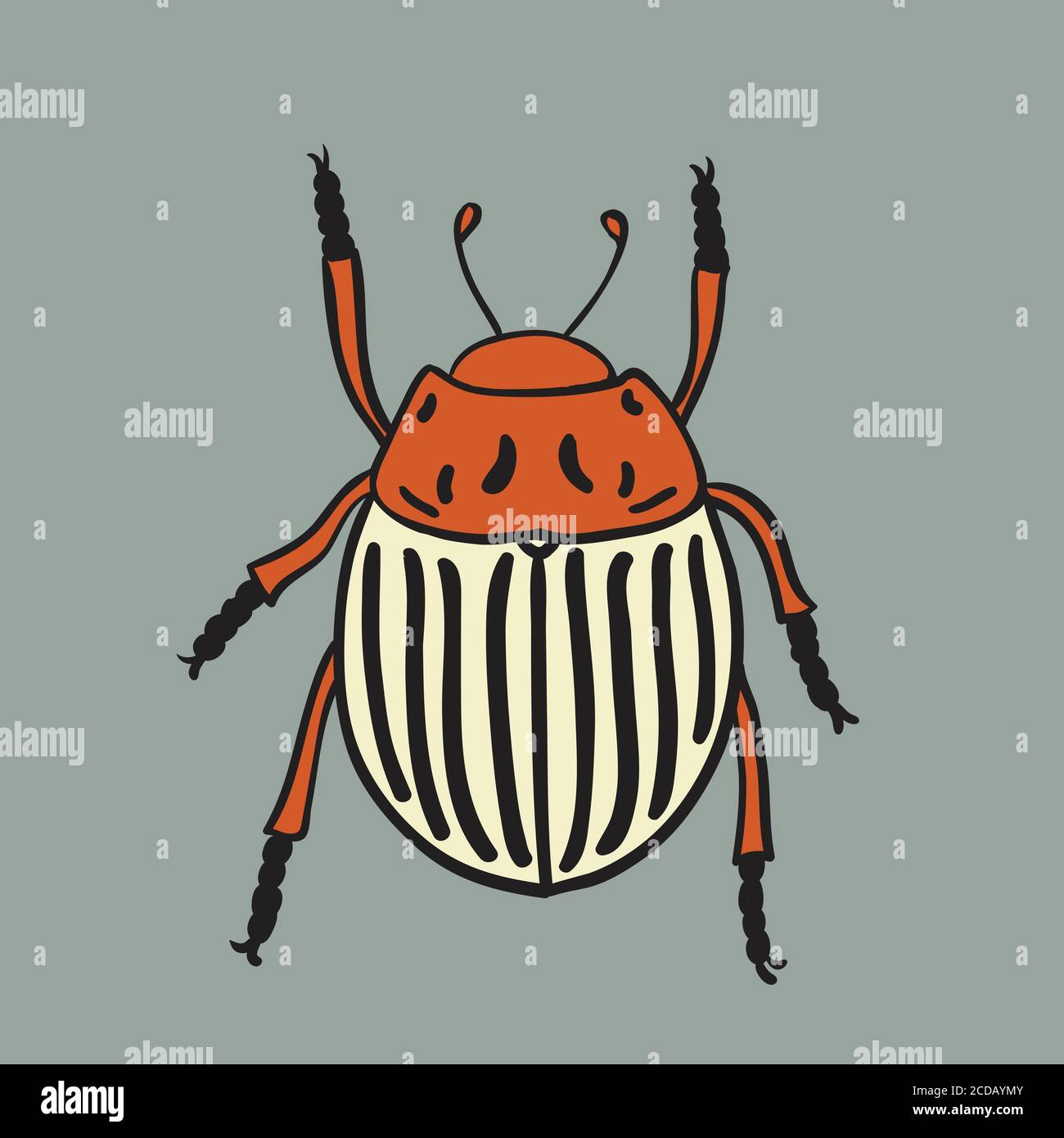 Potato beetle illustration. Vector design isolated element Stock Vector ...