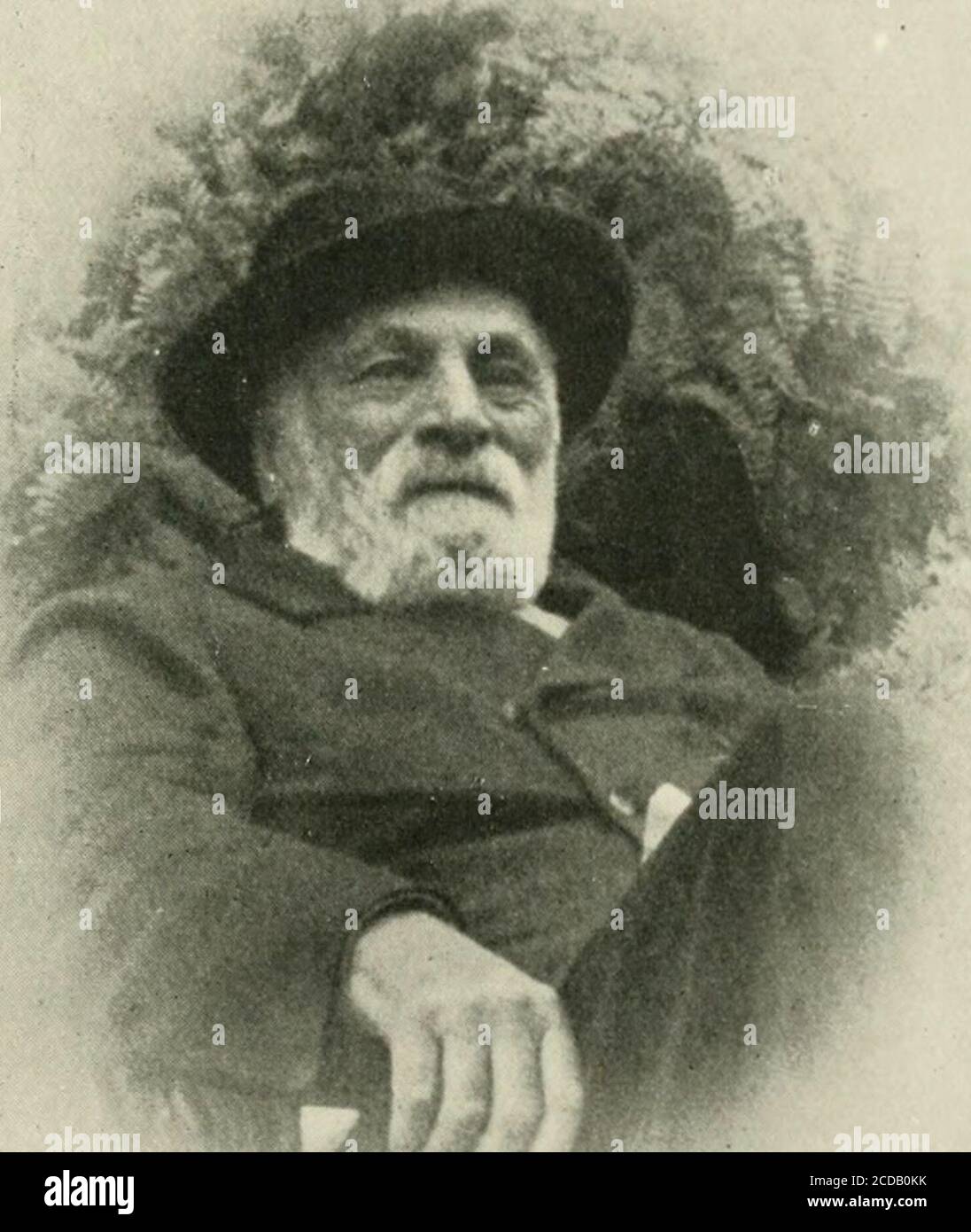 Henry nicholson ellacombe hi-res stock photography and images - Alamy