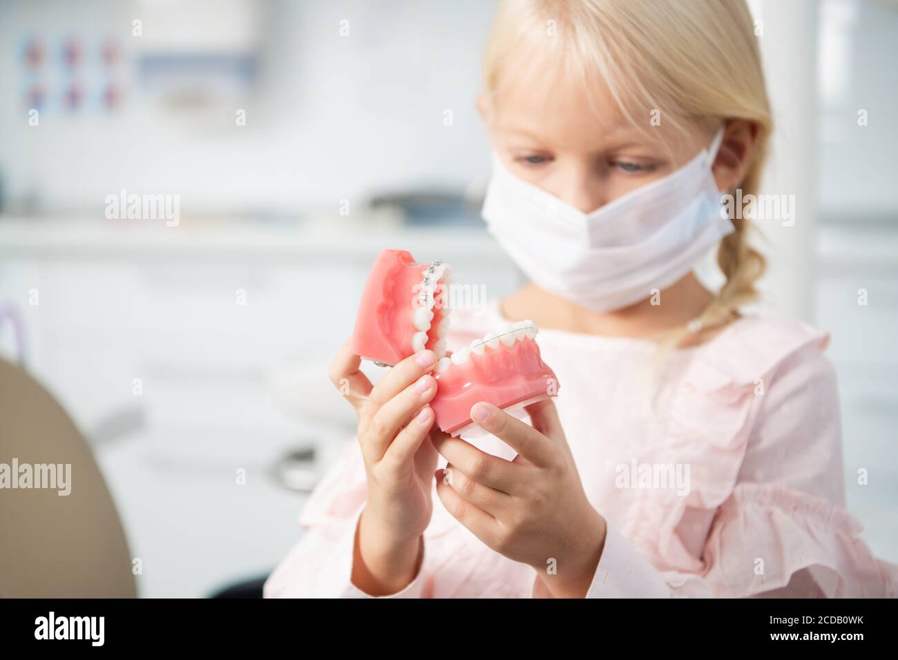 A child learning the human's jaw structure Stock Photo - Alamy