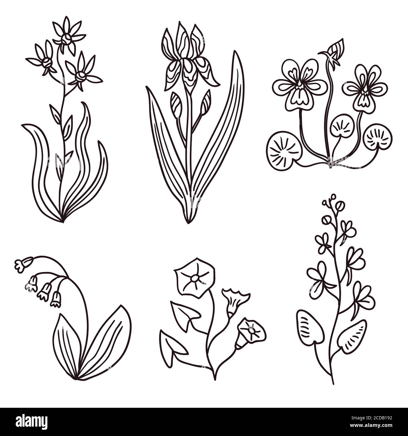 Big set of vintage original line art garden plants Stock Vector Image ...