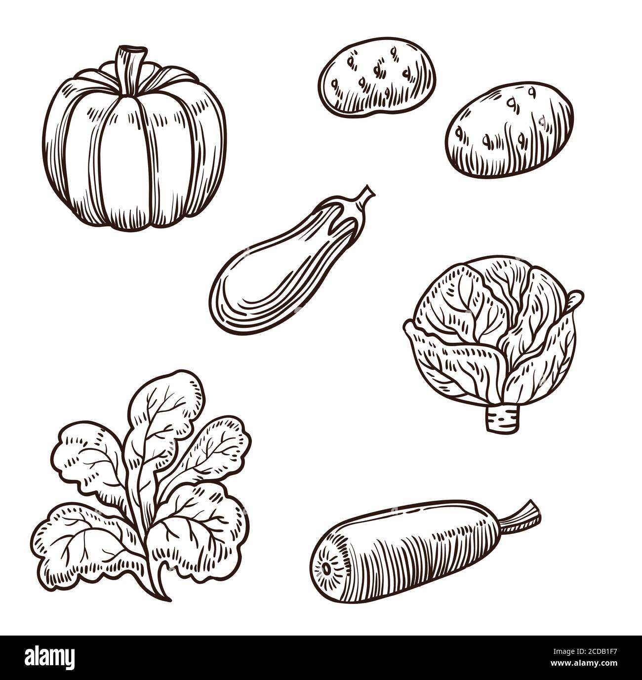 Hand drawn carrots doodle Stock Vector Images - Alamy