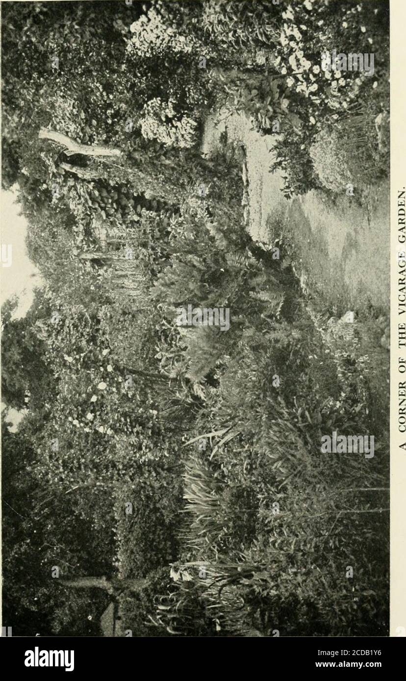 Henry nicholson ellacombe hi-res stock photography and images - Alamy